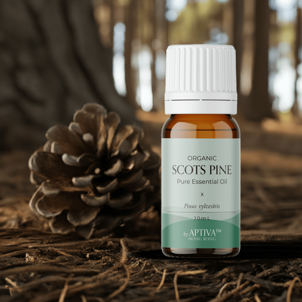 APTIVA Organic Scots Pine Pure Essential Oil • Therapeutic Grade
