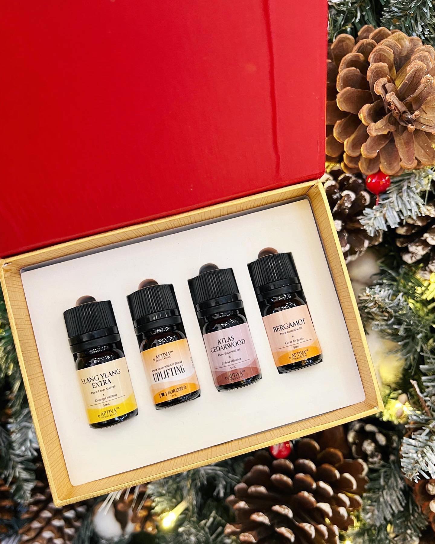 BETTER ME Experiential Essential Oil Set – APTIVA