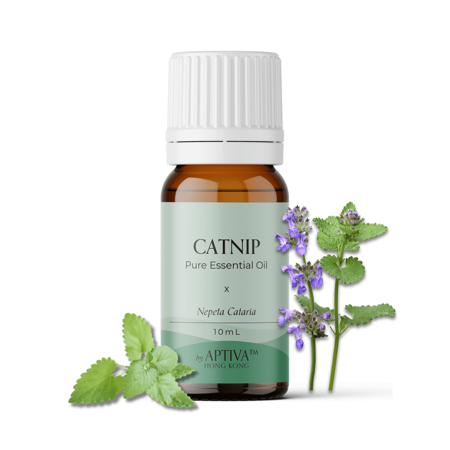 APTIVA Catnip Pure Essential Oil - Natural Insect Repellent