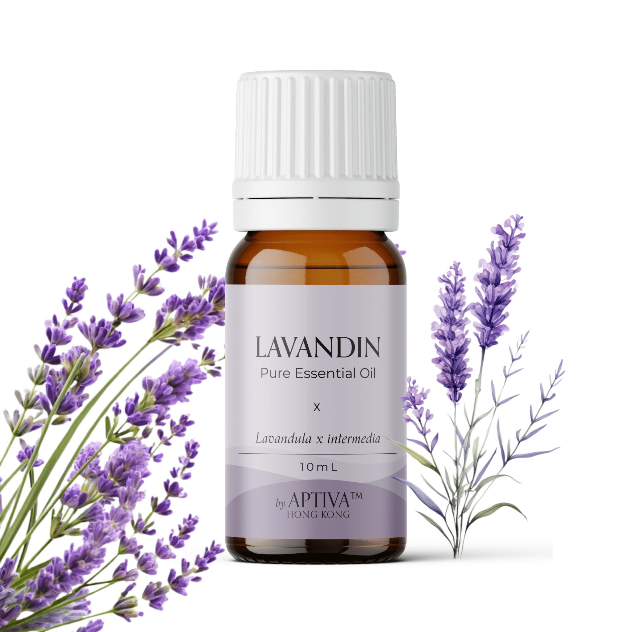 APTIVA Lavandin Pure Essential Oil 10mL - Fresh & Soothing Hybrid